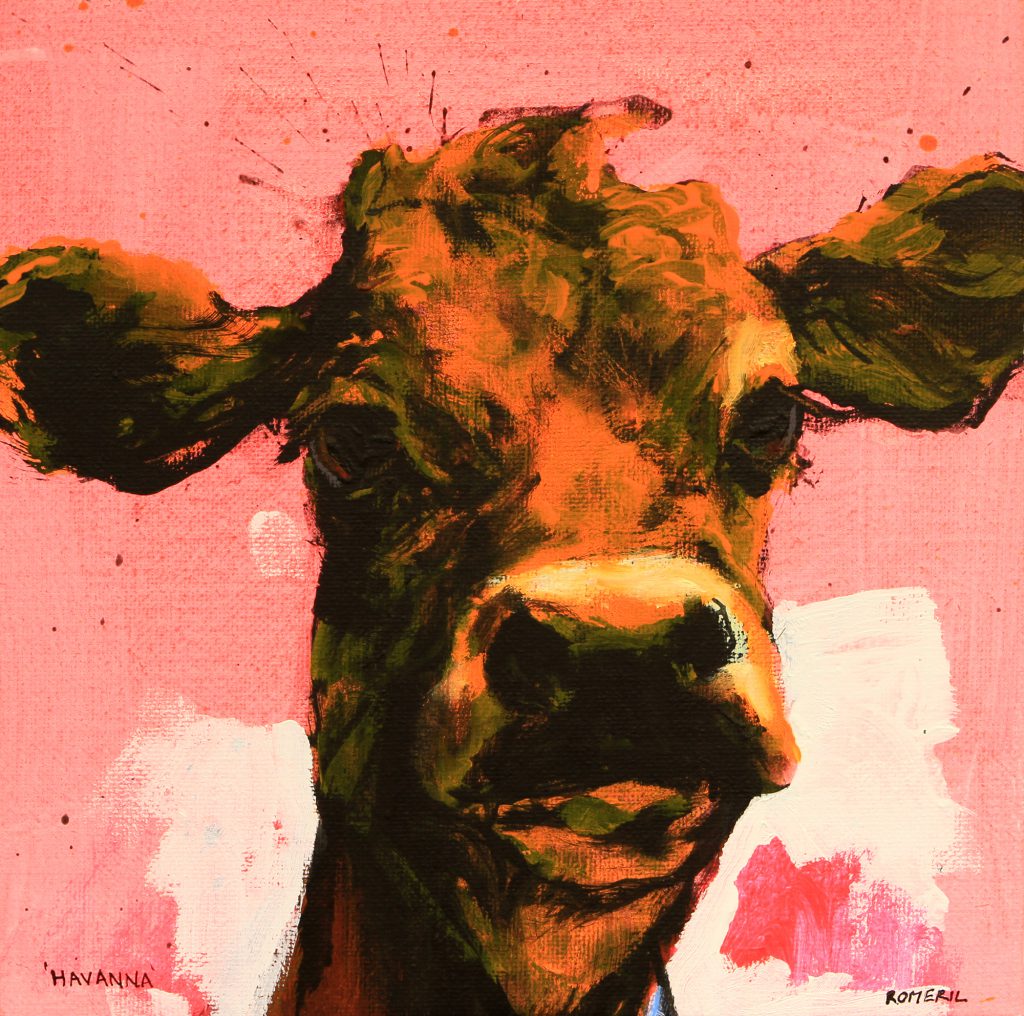 Cows in Discos, Havanna - Nicholas Romeril