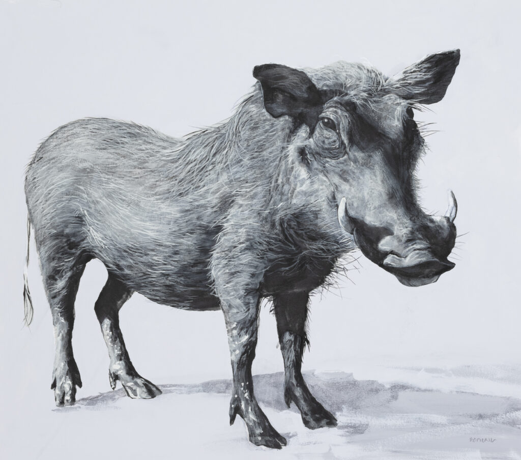 Warthog (print) - Nicholas Romeril